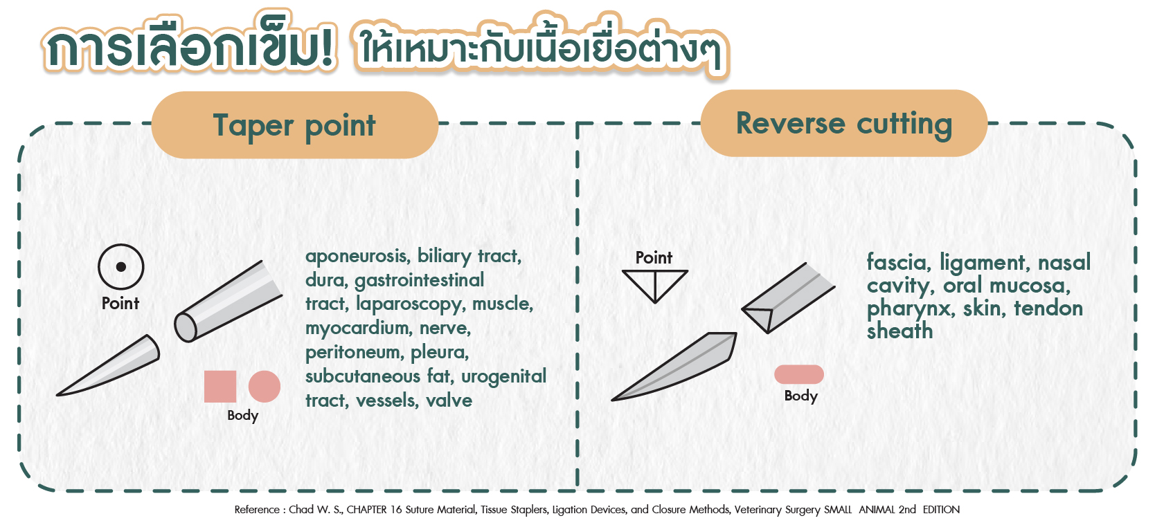 ความแตกต่างของเข็มเย็บ Tapper point และ Reverse cutting | Best Equipment Center Co., Ltd. (BEC)